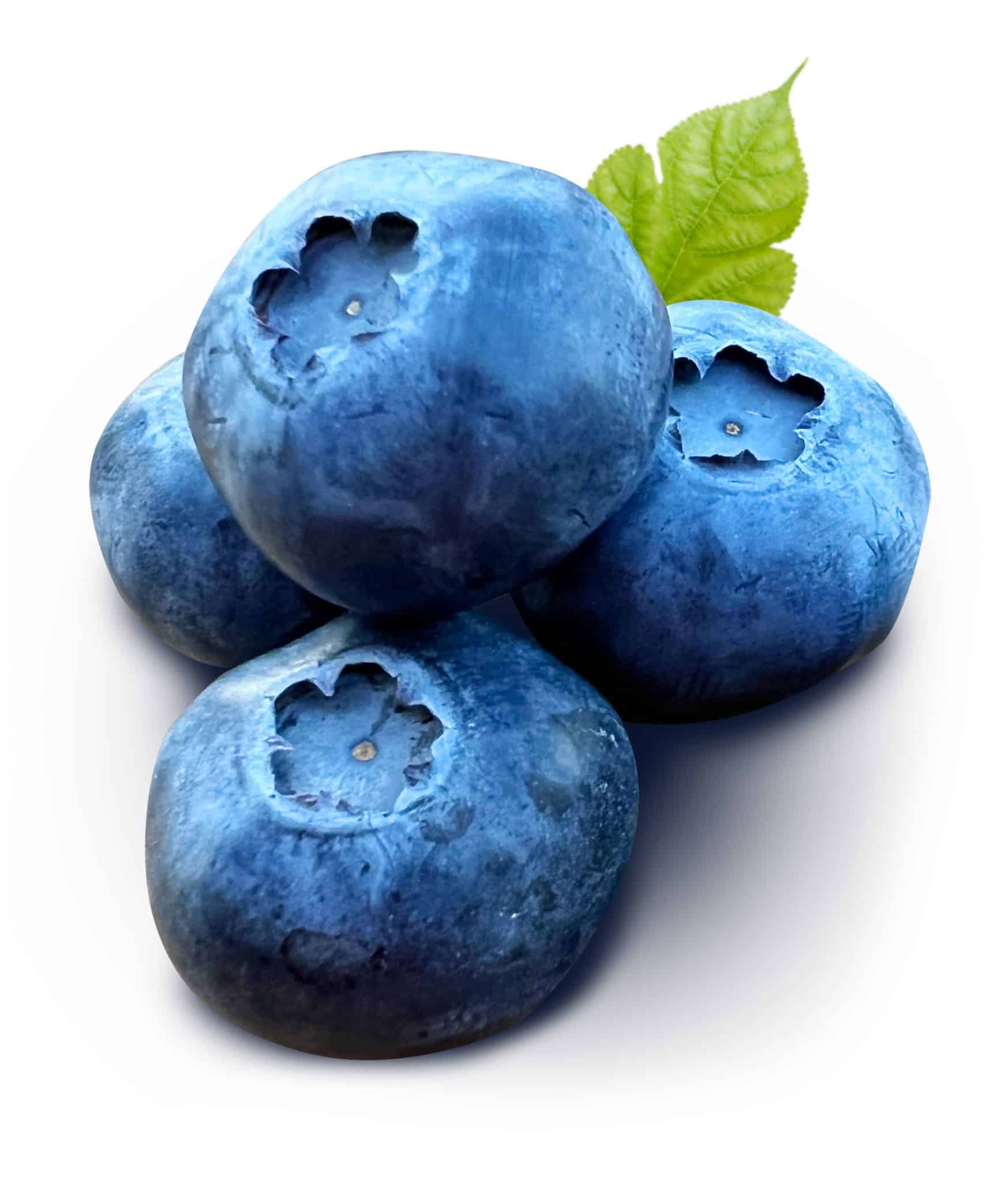 Bluettes Saveur – The best of nature in each blueberry